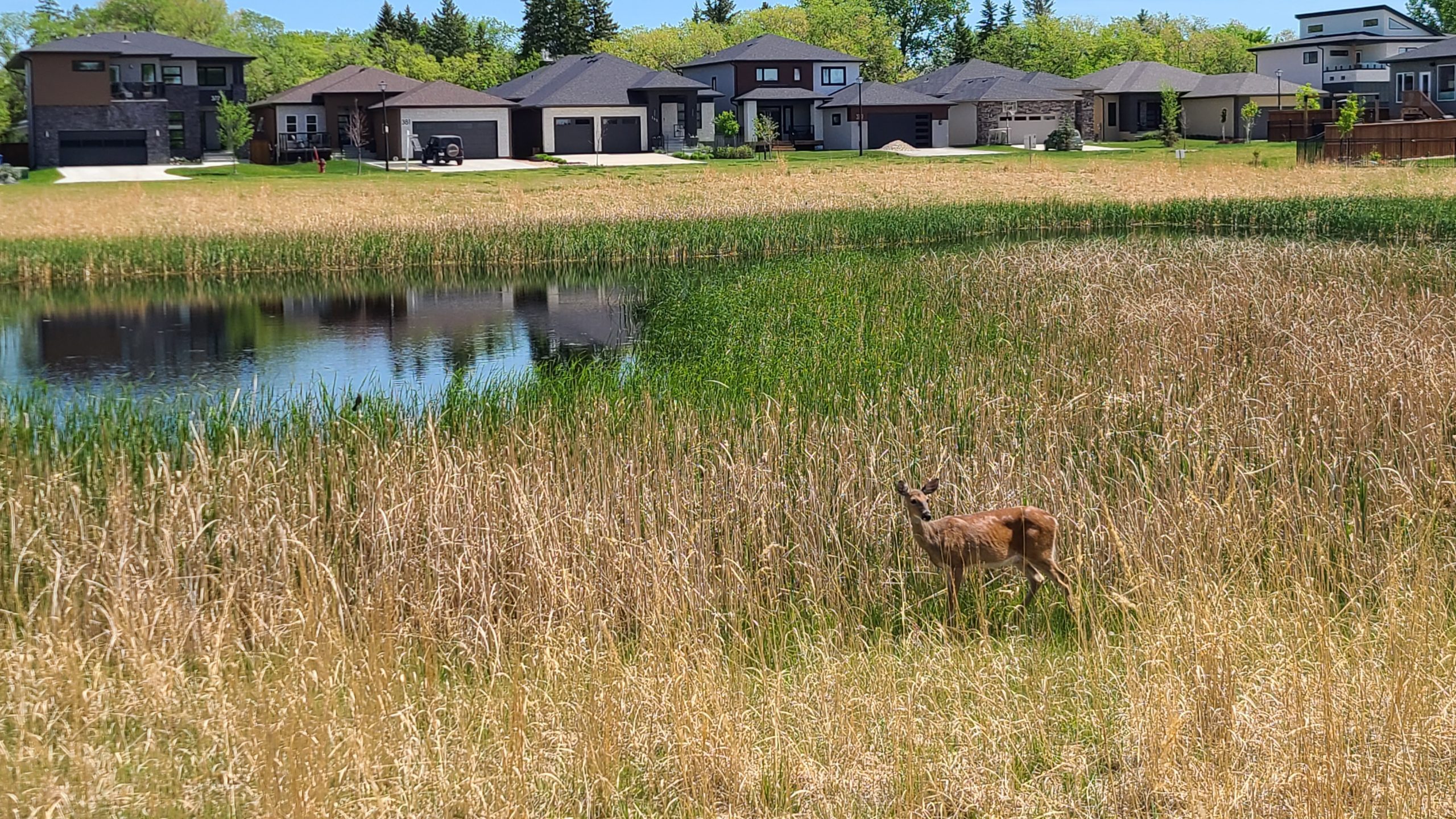Contact us - Native Plant Solutions